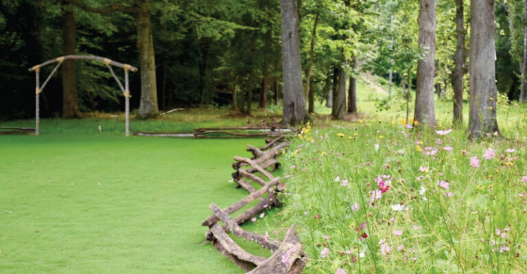 Planting Guide for Uplands, Meadows & Pollinator Projects | Ernst ...