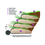 Bioengineering Materials Selection and Planting | Ernst Conservation Seeds