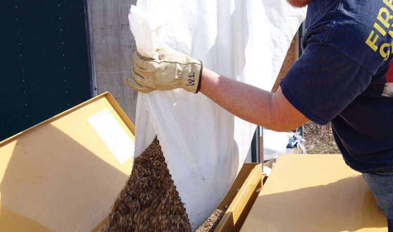 Help Guides for Planting Native and Naturalized Seed Projects | Ernst ...