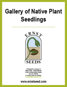 Native Plant Seedling Gallery - Ernst Seeds