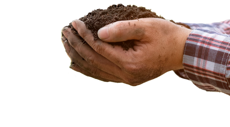 Ernst Conservation Seeds offers hundreds of species of native ...